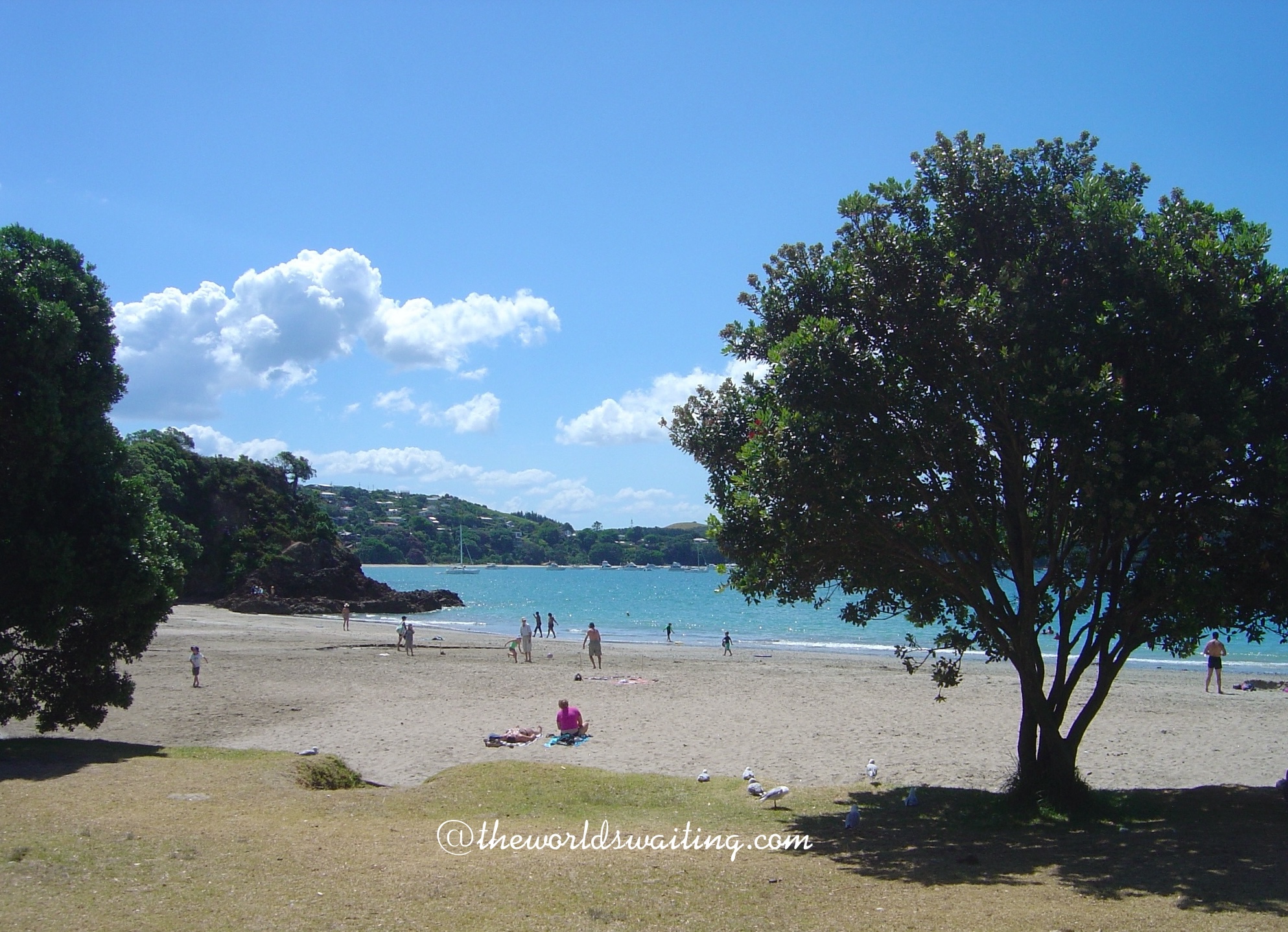 Beaches of Auckland – The World is Waiting
