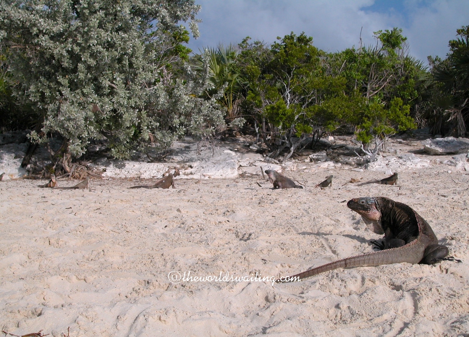 Snapshots of the Bahamas Family Islands – The World is Waiting