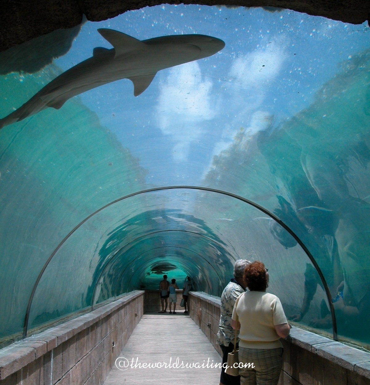 Top 10 things to do in Nassau, Bahamas – The World is Waiting