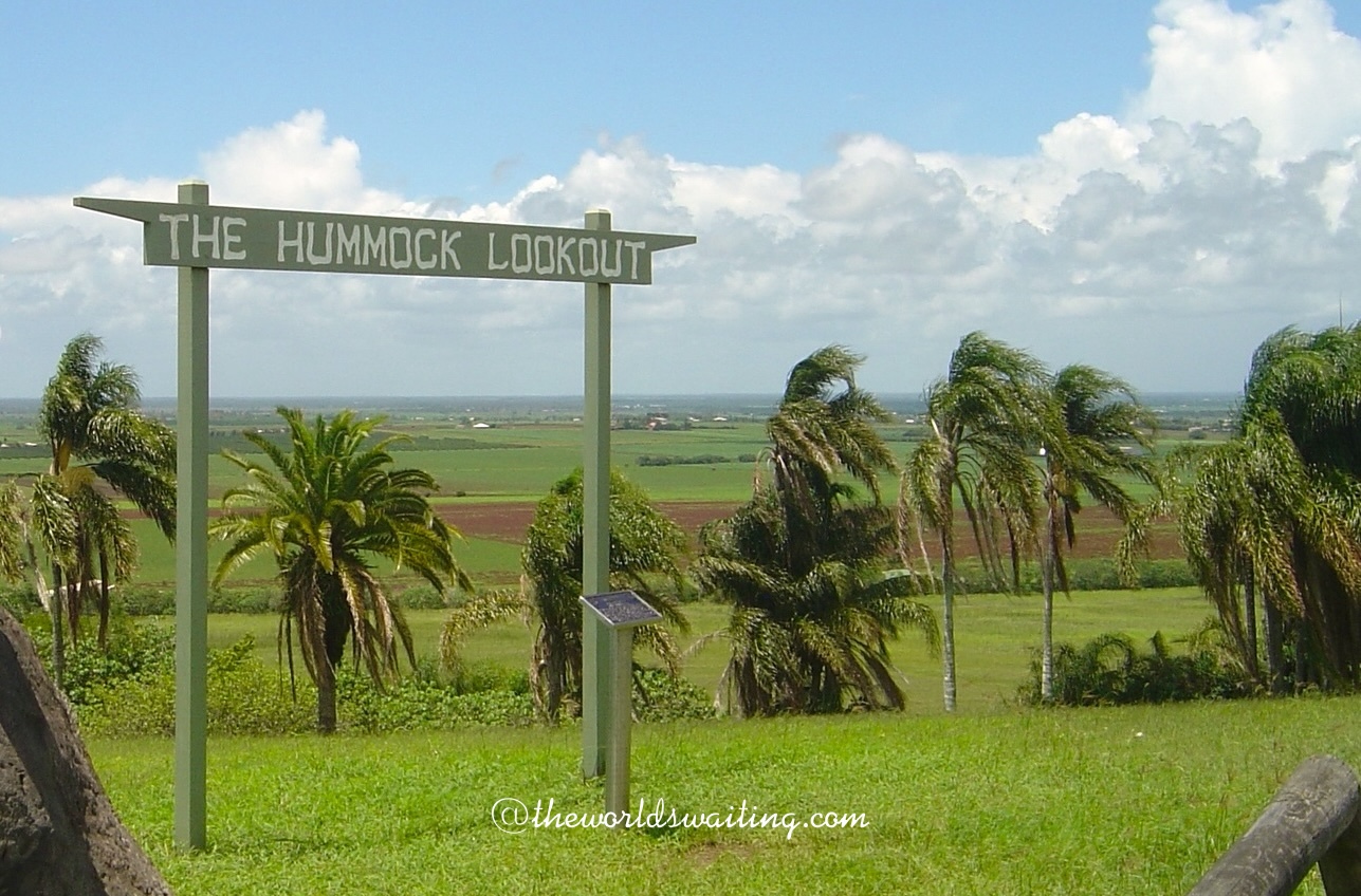 There’s more to Bundaberg than Rum – The World is Waiting