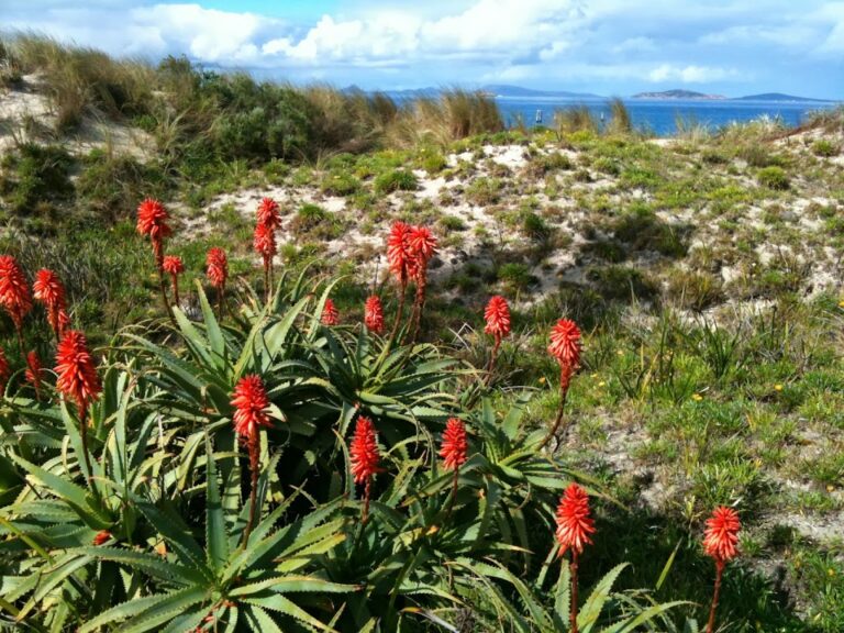 Capture the Colour of Western Australia – The World is Waiting