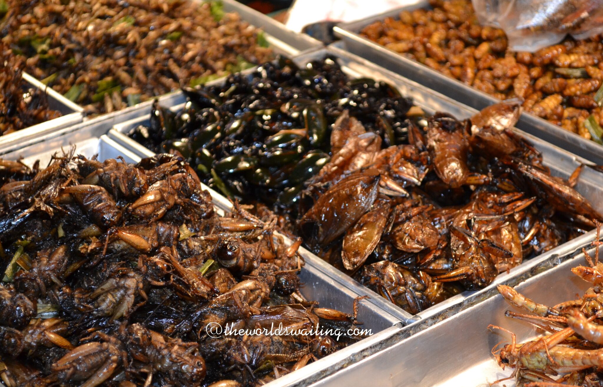 10 Reasons to visit South East Asia – The World is Waiting