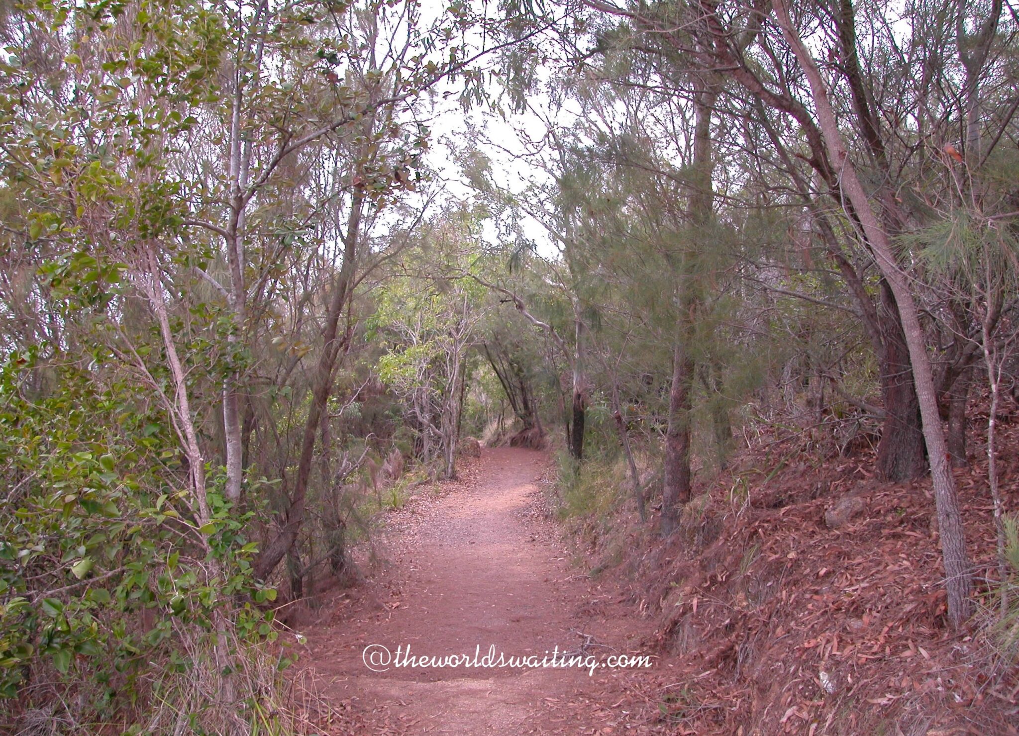 Brampton Island, Queensland – The World is Waiting