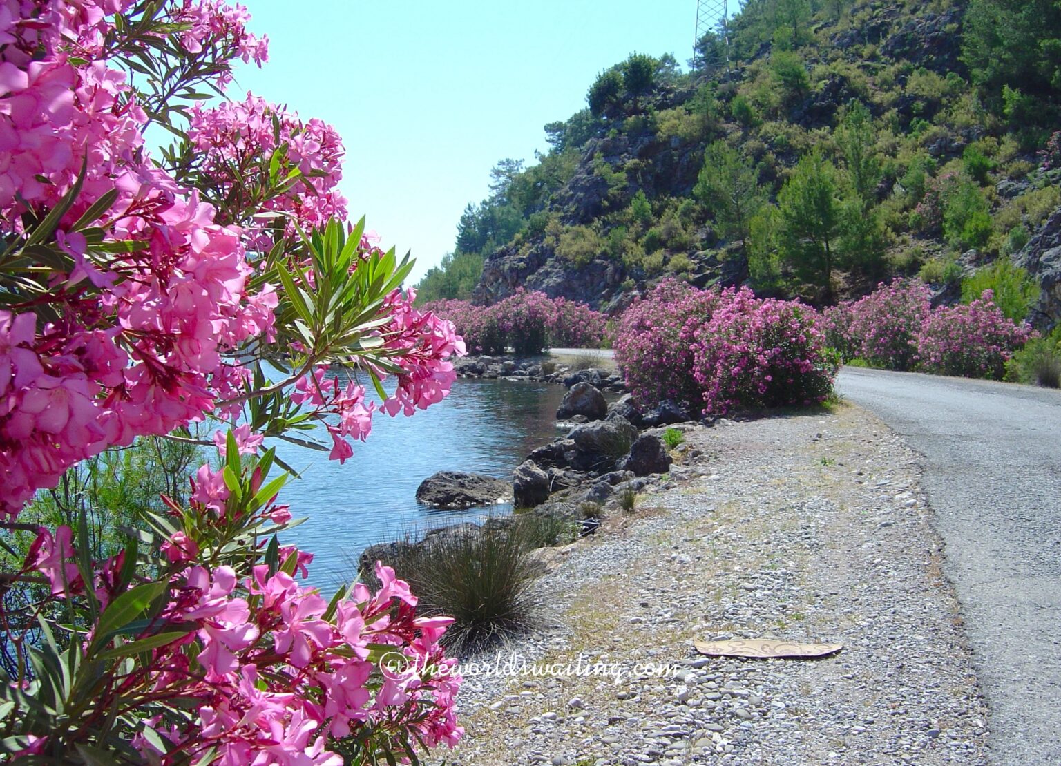 Exploring Dalyan Delta – The World is Waiting