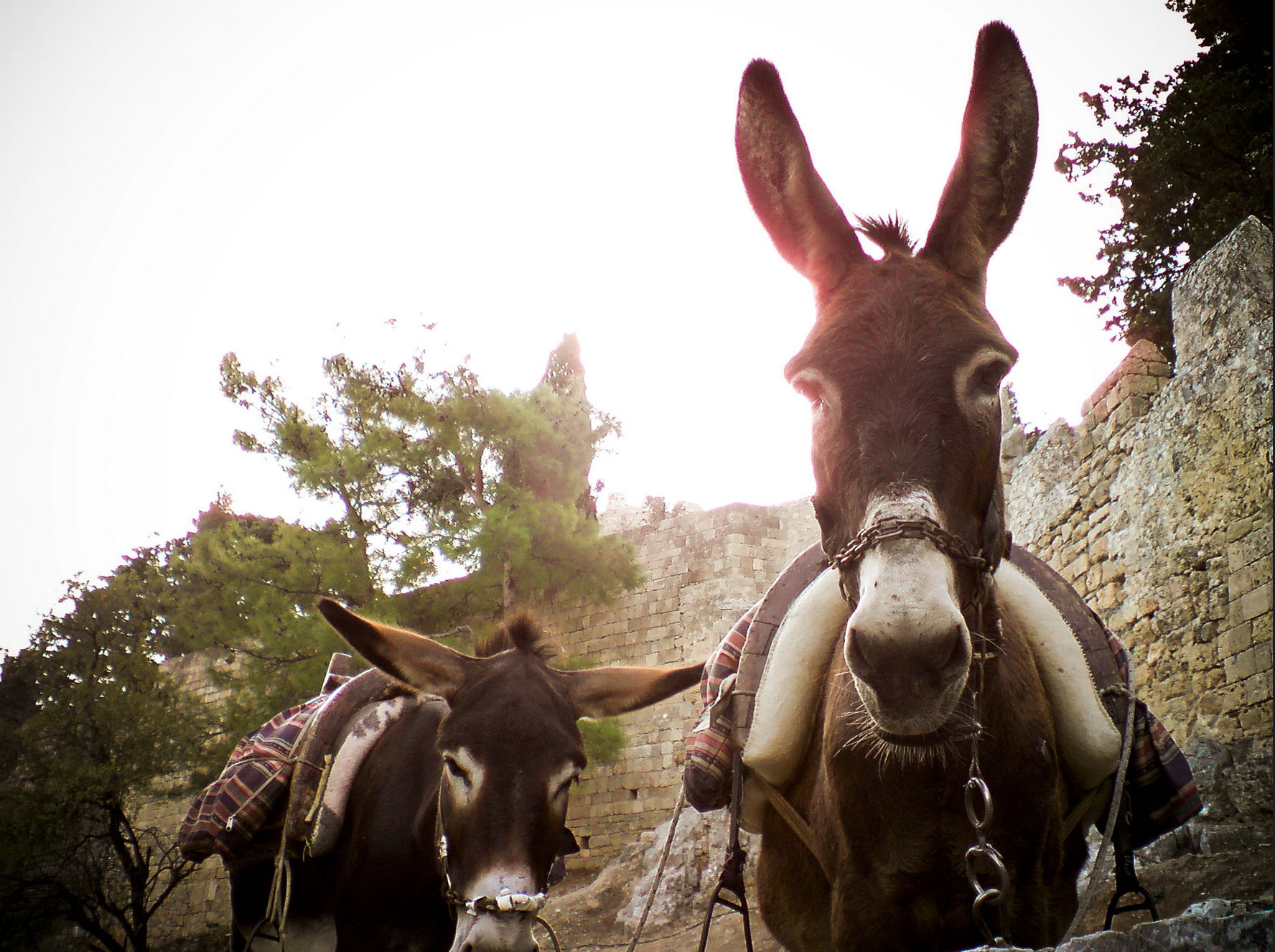 Escape to Lindos – The World is Waiting