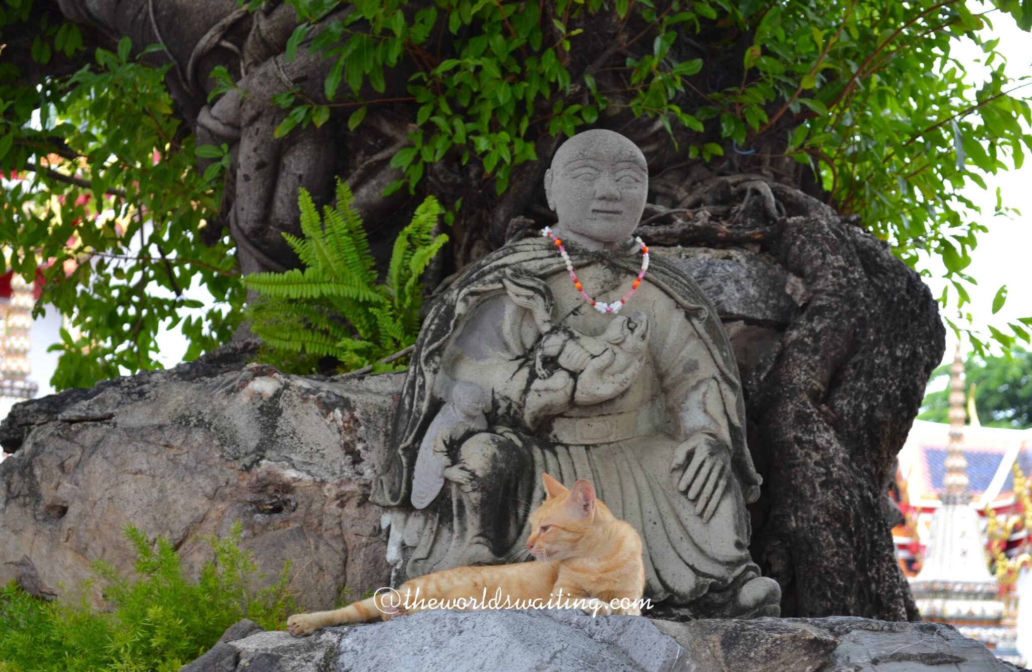 Wat Pho – The World is Waiting