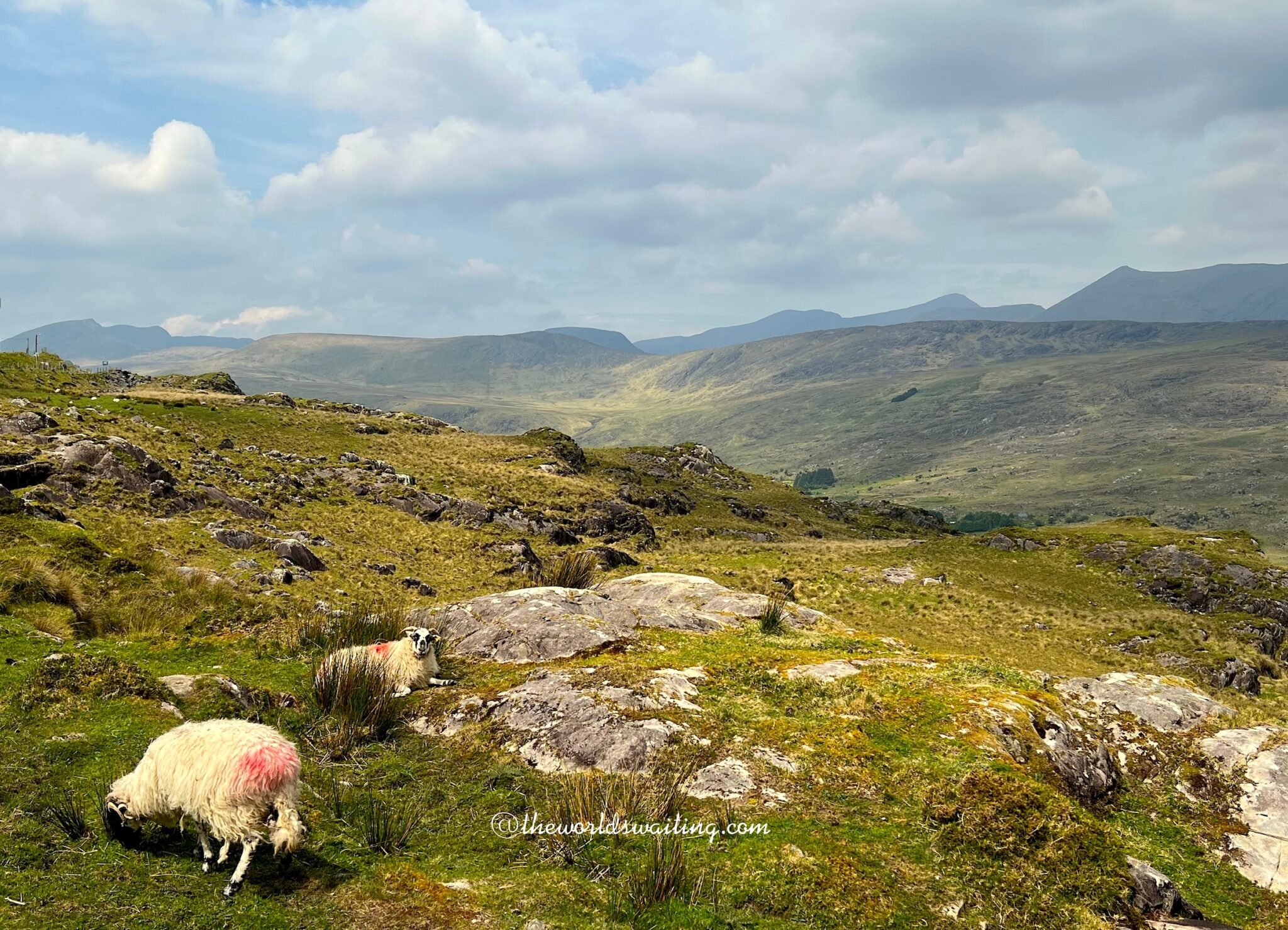 Driving the Ring of Kerry – The Highlights – The World is Waiting